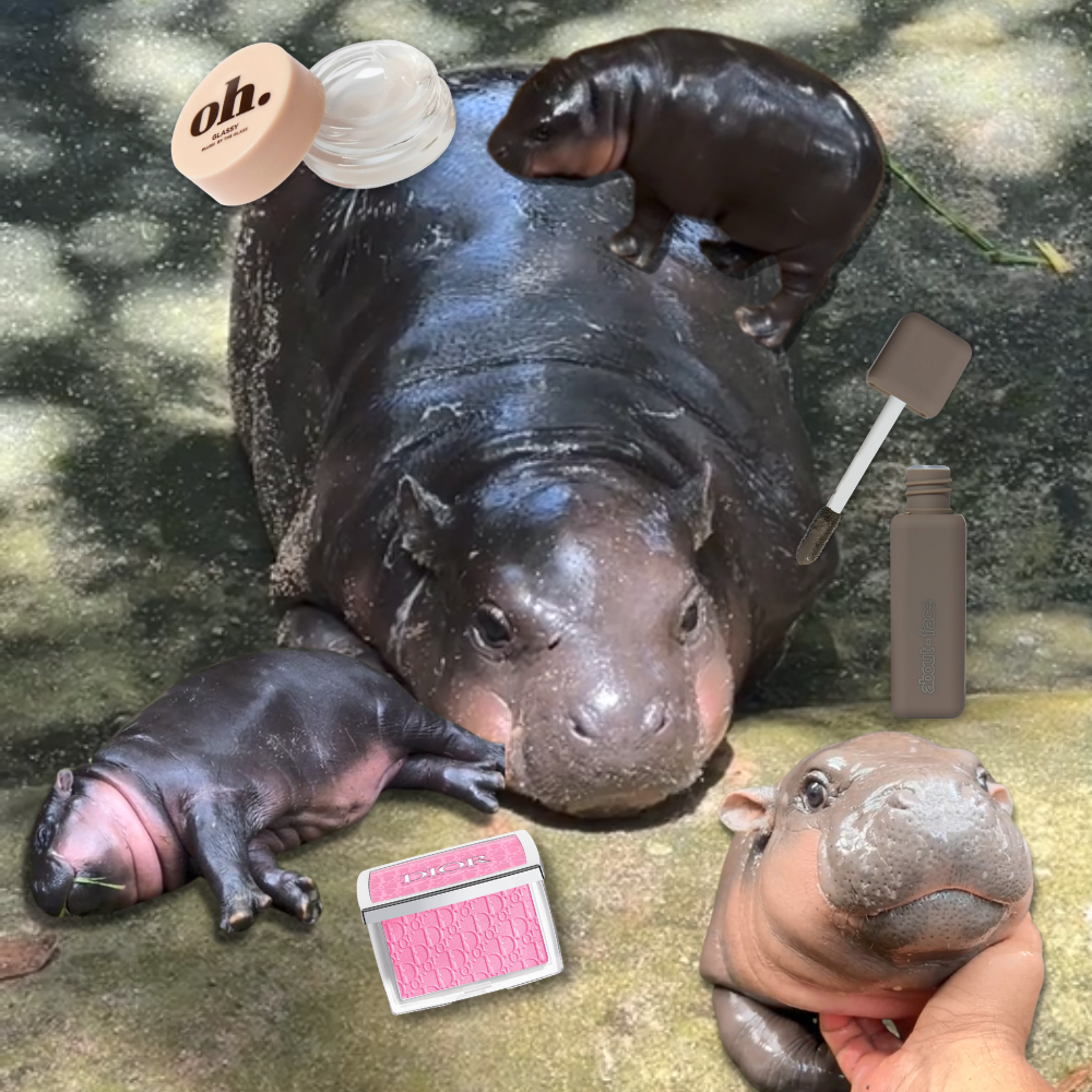 Makeup Tricks To Hide Wrinkles | BEAUTY/crew